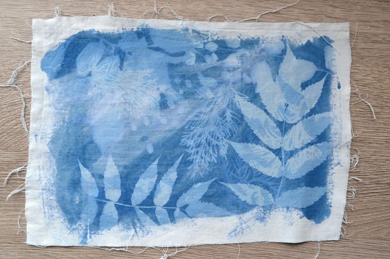 How to do sun printing on fabric using leaves & flowers