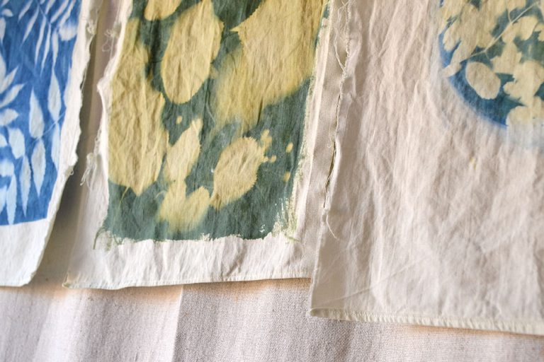 How to do sun printing on fabric using leaves & flowers